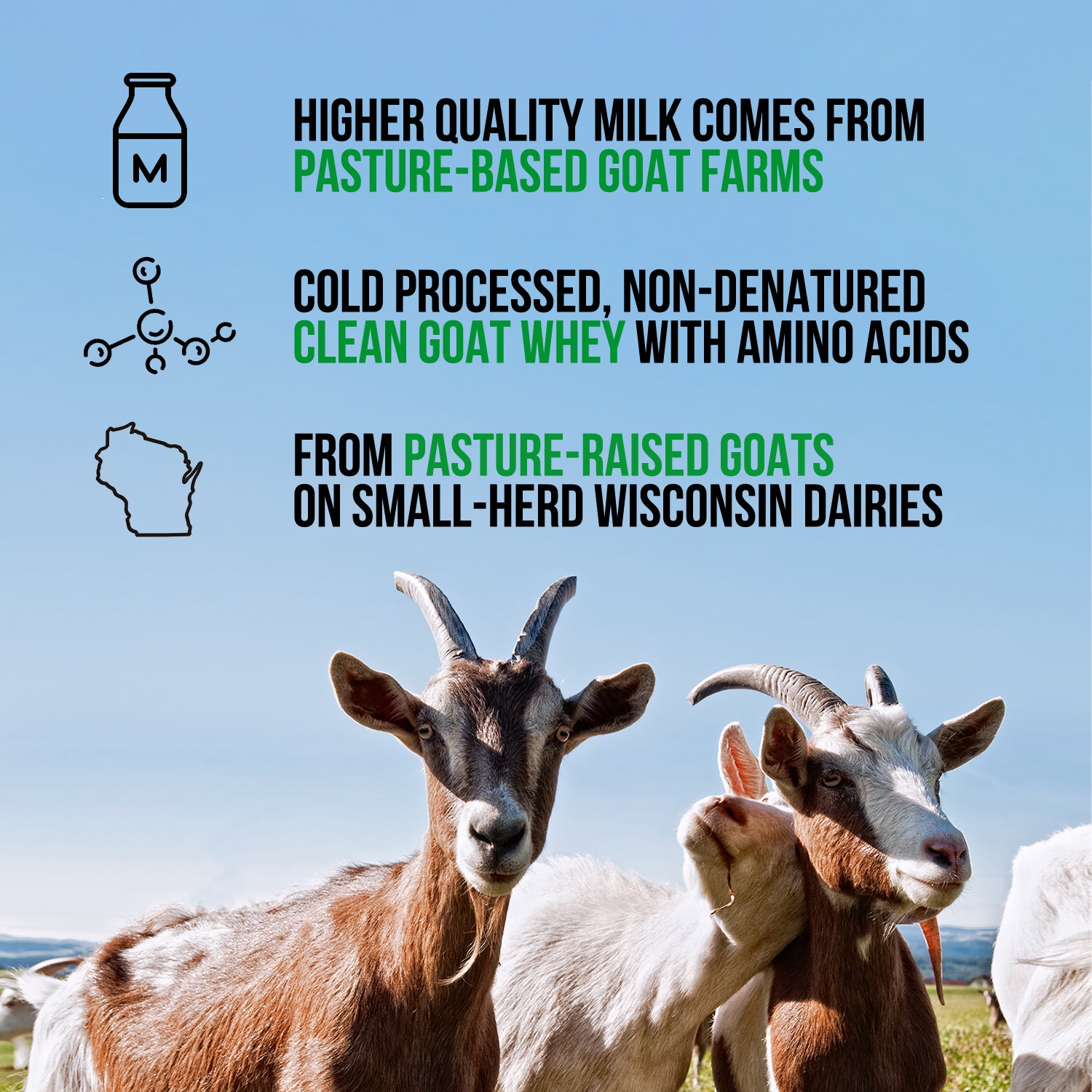 Goat Whey Protein Powder 2lb - Naked Goat – Naked Nutrition Canada